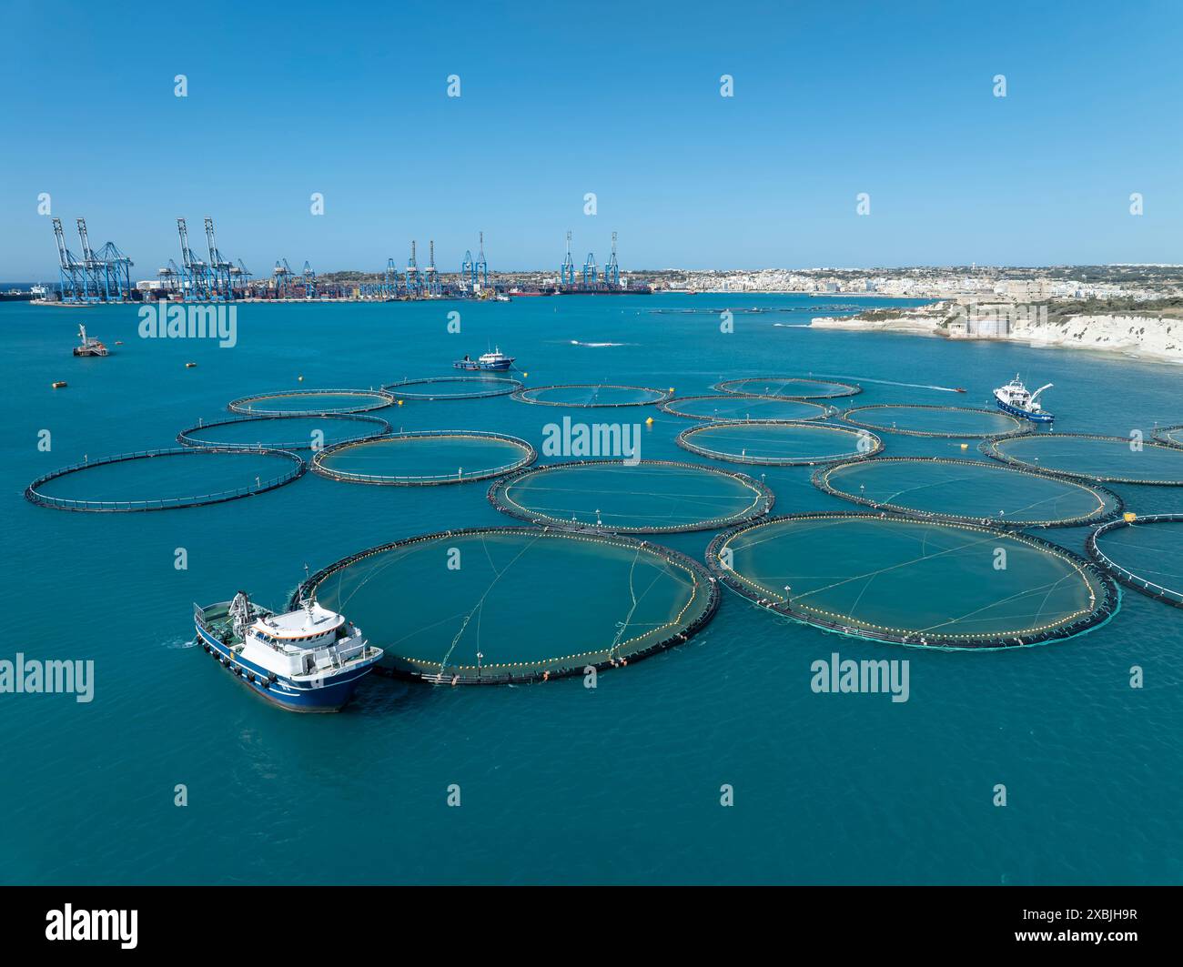 Fish farming place in Malta near by Mashaxlokk. Tuna farming rings with ...