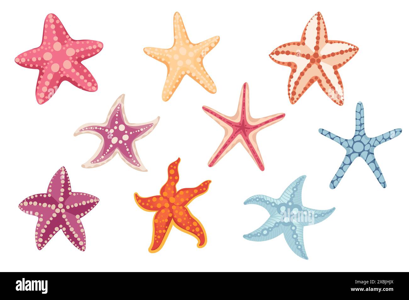 Set of colorful simple starfish vector illustration isolated on white ...