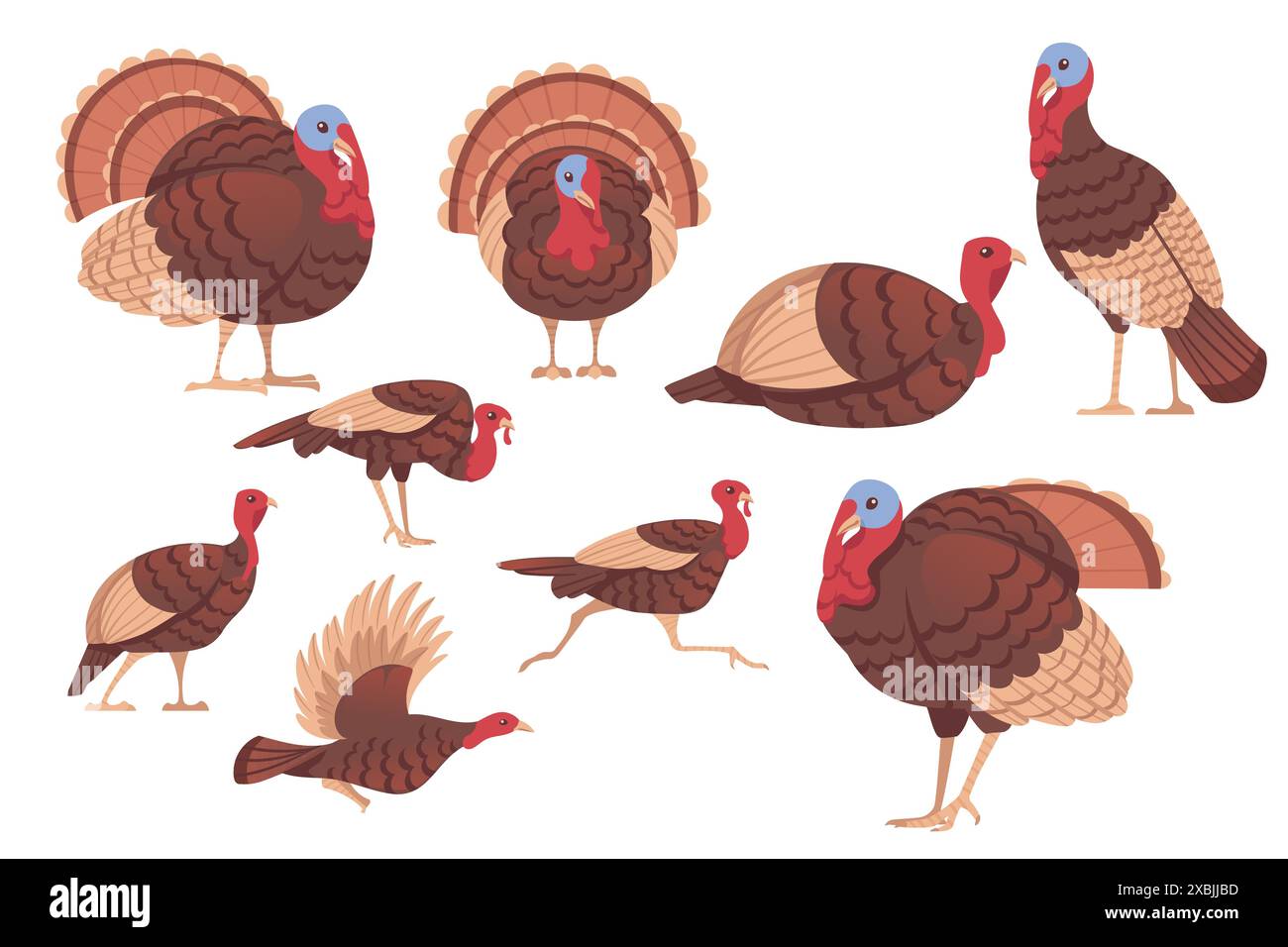 Set of Cute turkey bird cartoon animal design vector illustration ...
