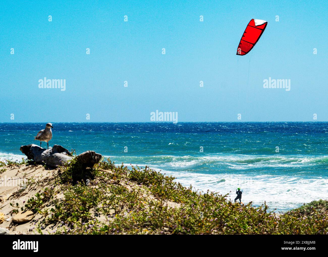 Kite surfer; Jalama Beach County Park; Santa Barbara County; California ...