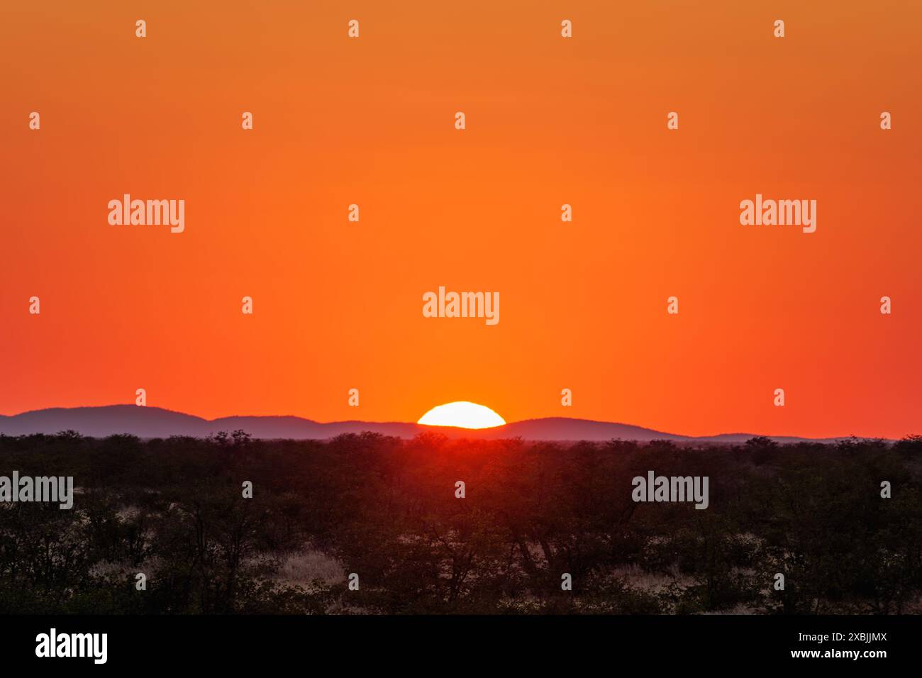 Sunset in Namib Desert in Namibia Stock Photo - Alamy