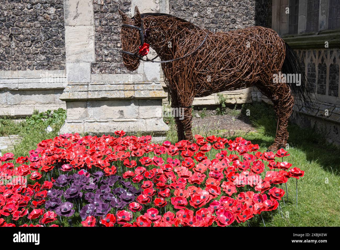 Pottery remembrance poppies and woven war horse statue Stock Photo - Alamy