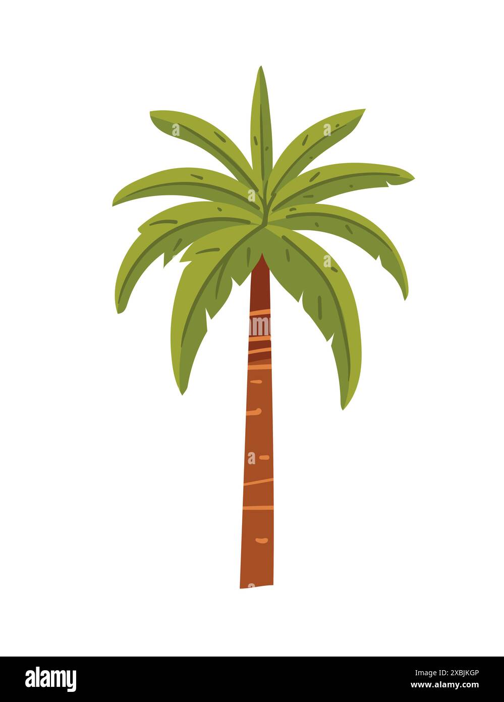 Tropical green palm tree with leaves simple cartoon design vector ...