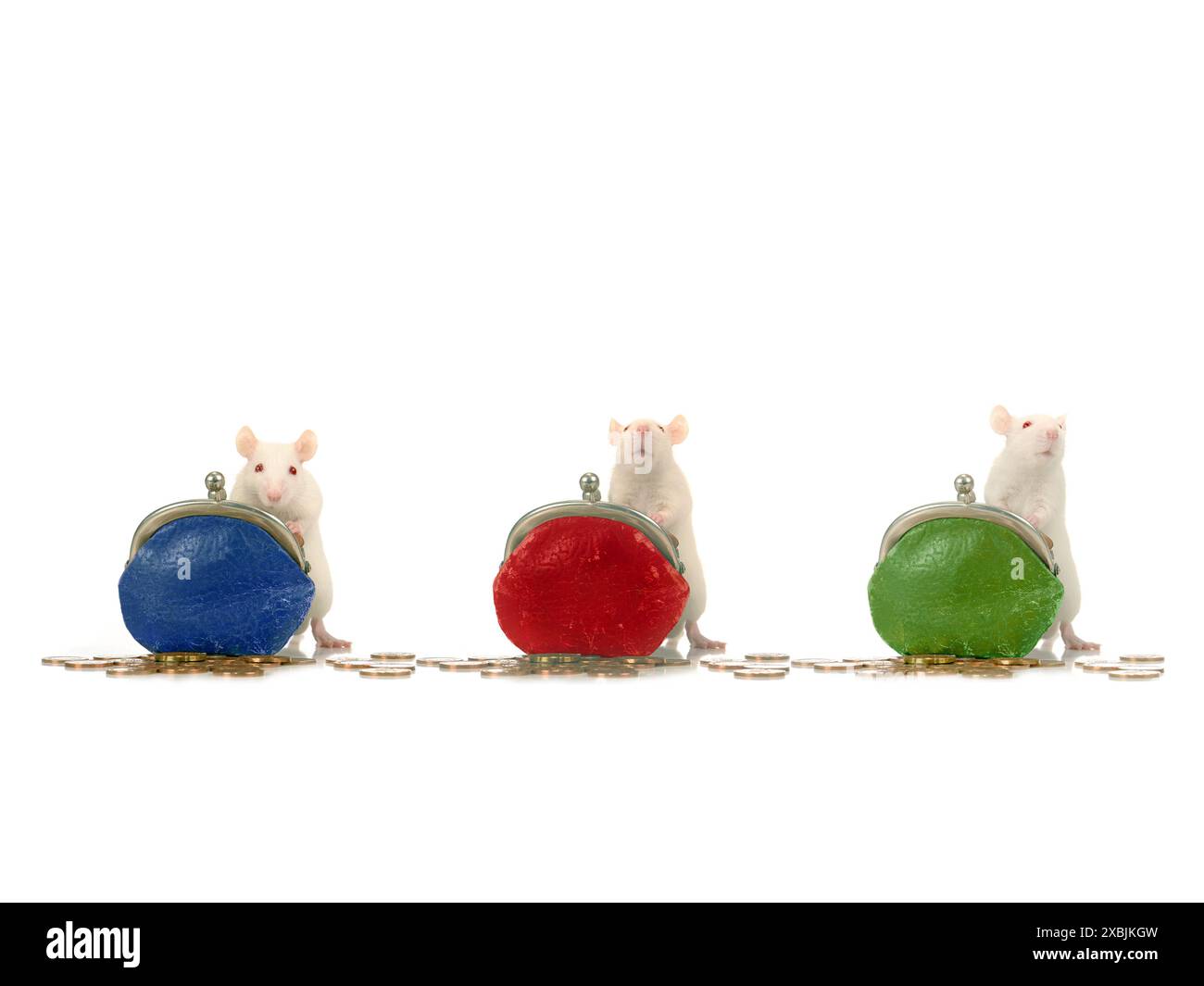 Green rat Cut Out Stock Images & Pictures - Alamy