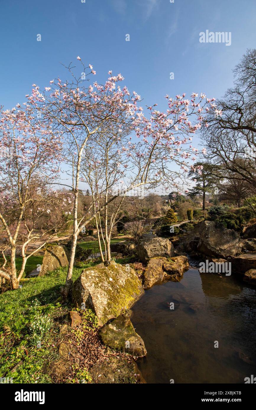 Platt garden hi-res stock photography and images - Alamy