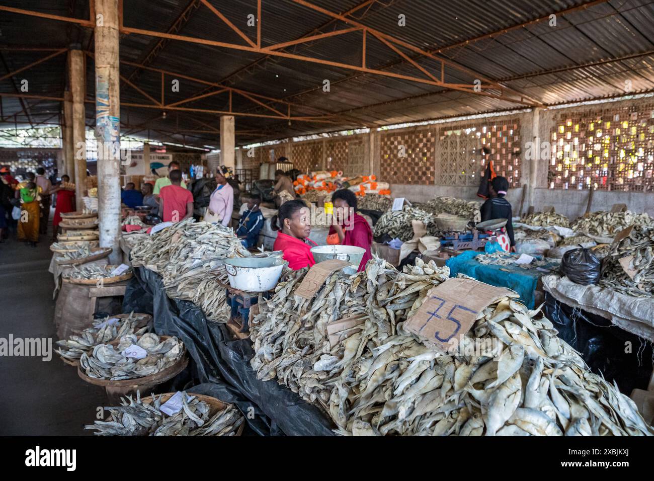 Chimoio hi-res stock photography and images - Alamy