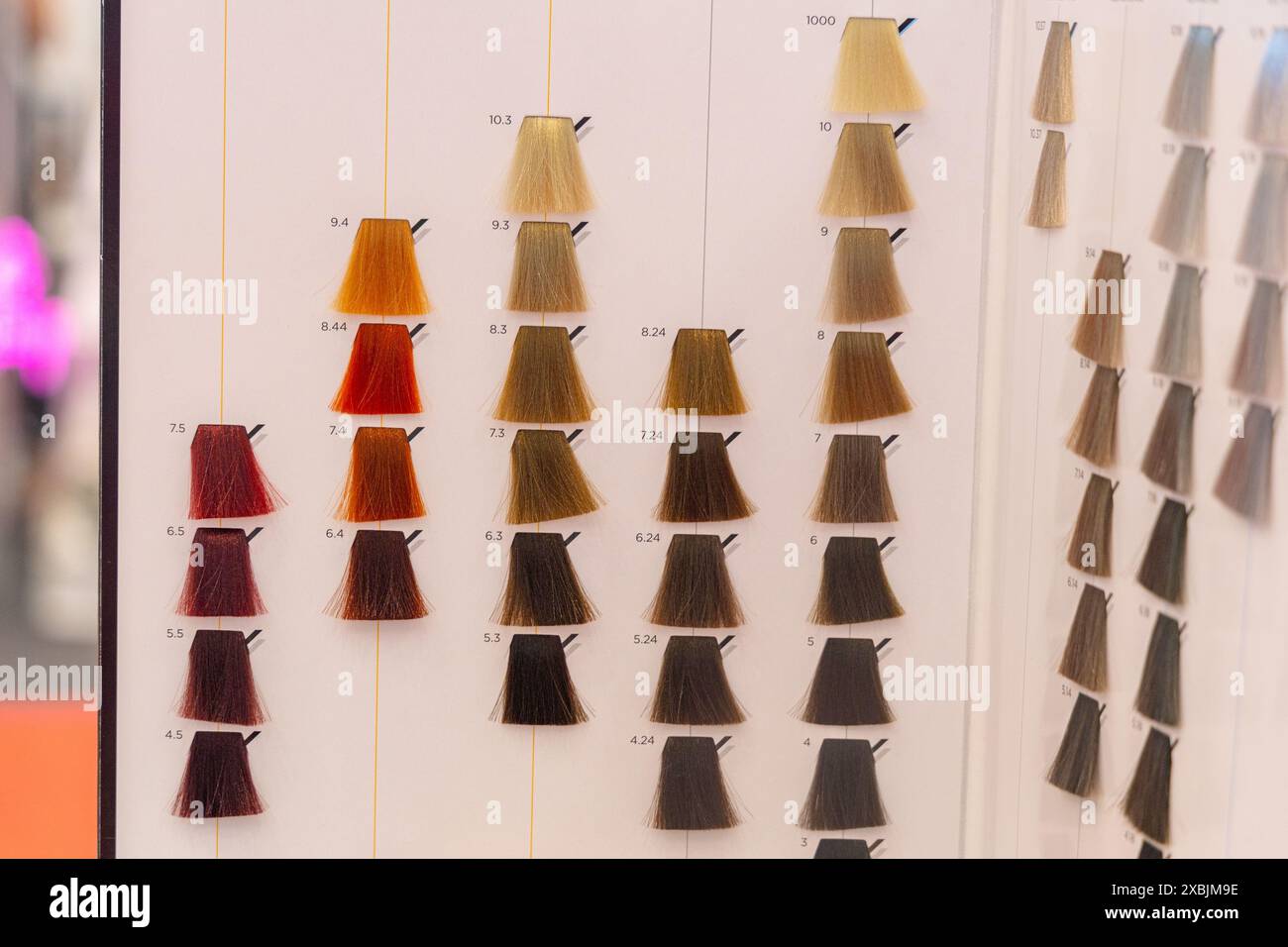 Hair Color 2024 Chart