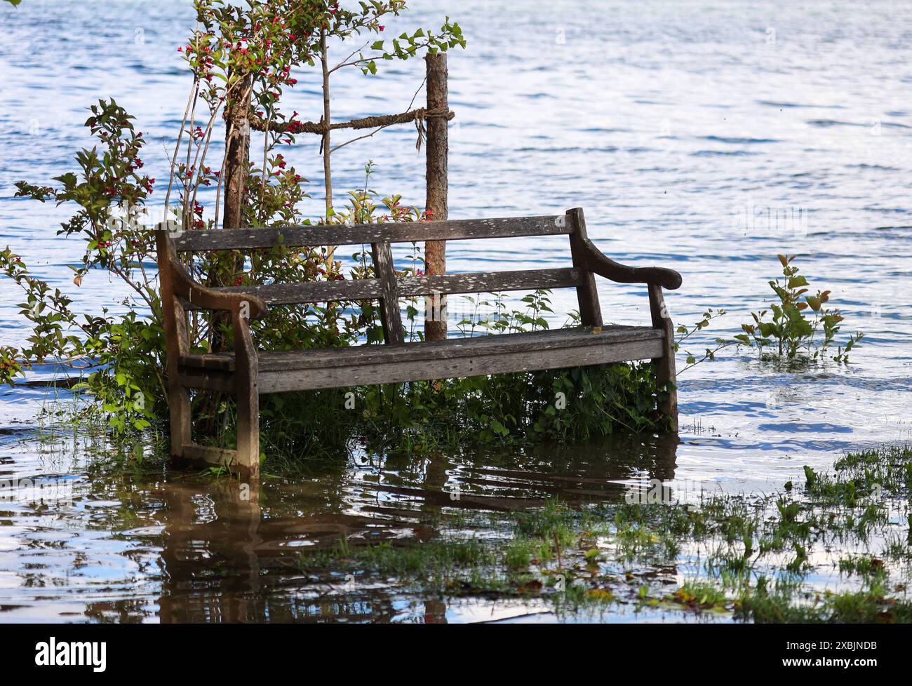 Feldafing, Bayern, Deutschland 12. Juni 2024: Ein Sommertag bei ...
