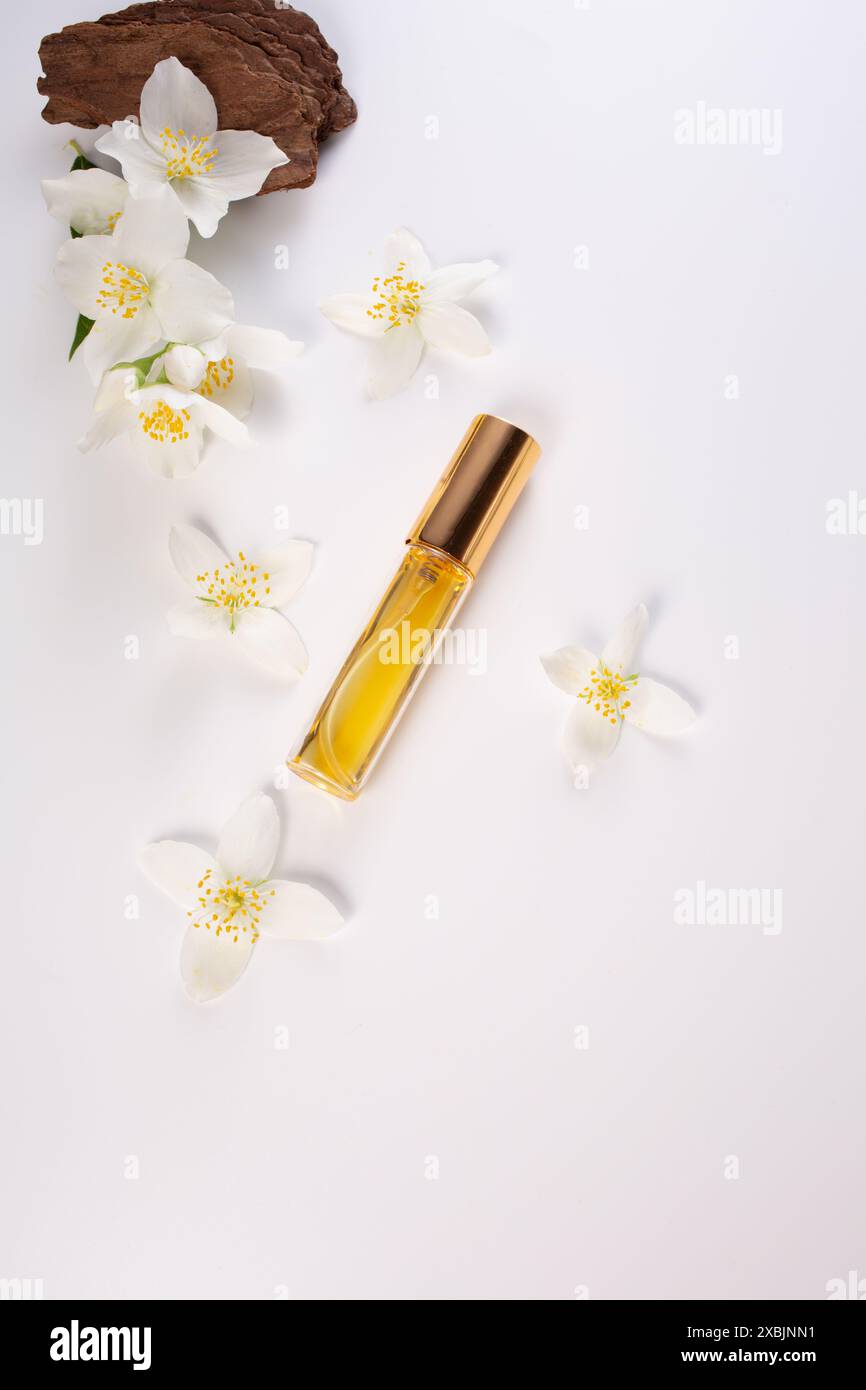 Jasmine essential, bark and Jasmine flowers on white background. Copy ...