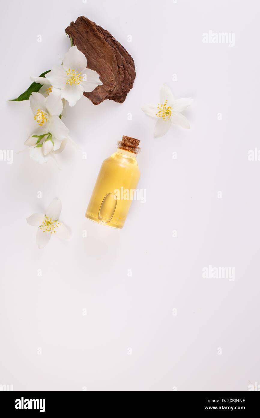 Jasmine essential, bark and Jasmine flowers on white background. Copy ...