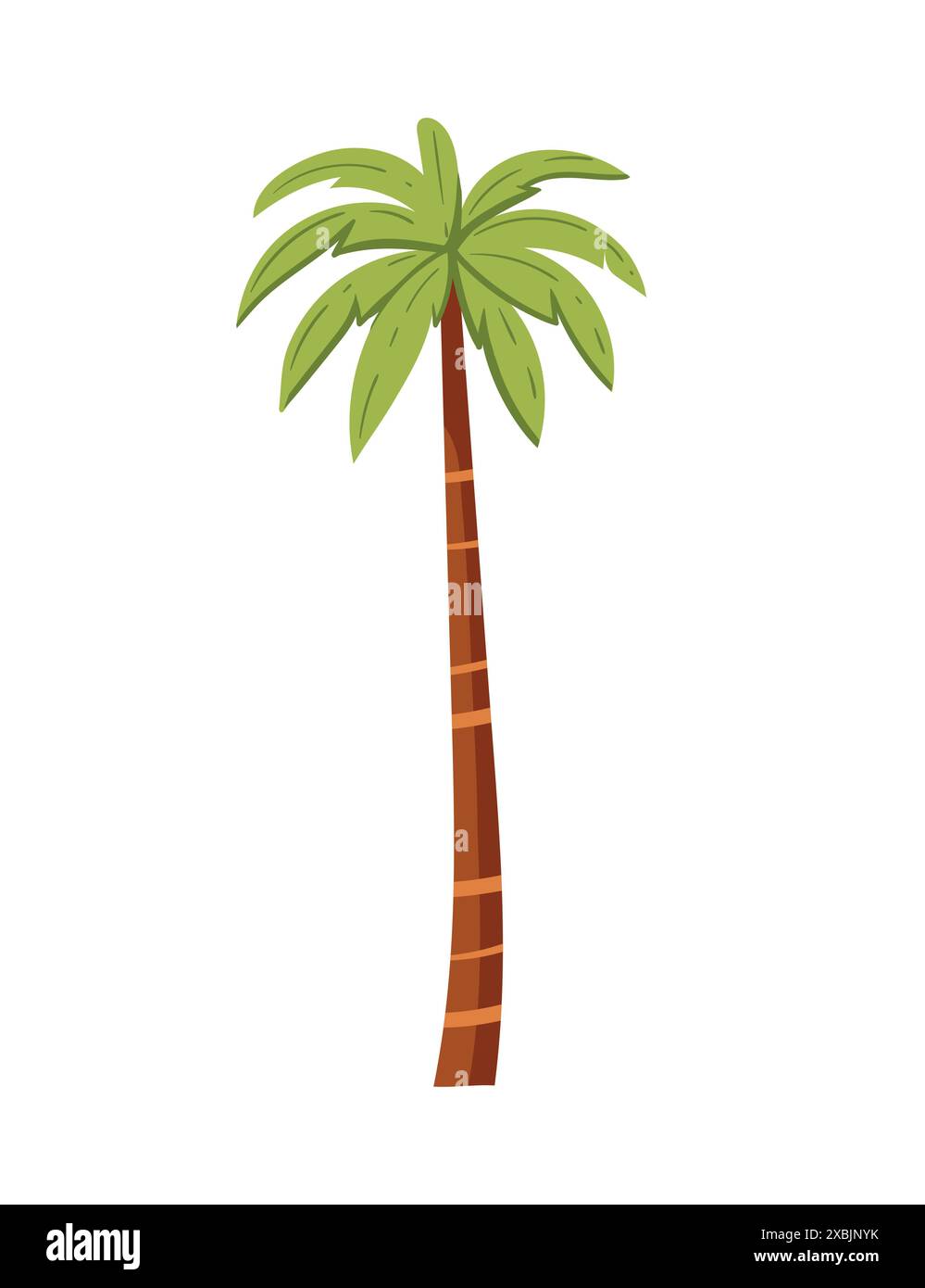 Tropical green palm tree with leaves simple cartoon design vector ...