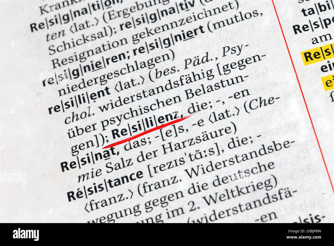 Symbol image Resilienz (Resilience), excerpt from the Duden (Germany ...