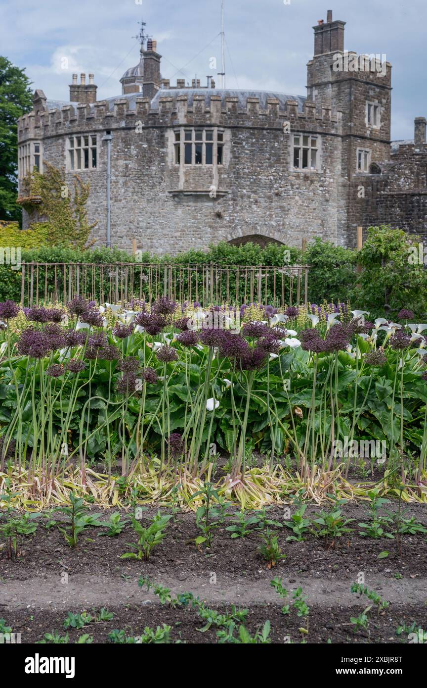 Walmer Castle near Deal and Dover in Kent, home of Lords Warden of the ...