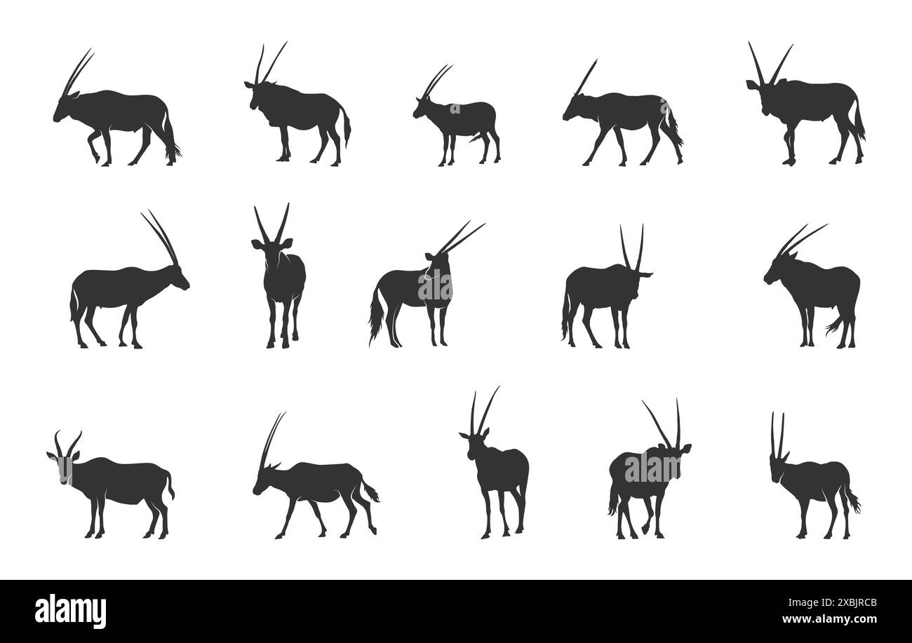 Oryx silhouettes, Horned animal silhouettes, Oryx vector set Stock ...