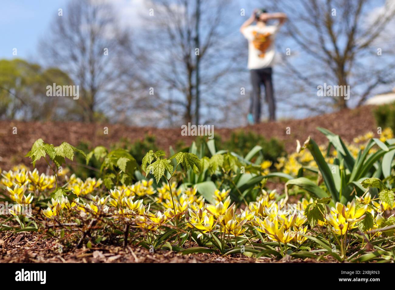 children rest and play in the playground on the background of yellow ...