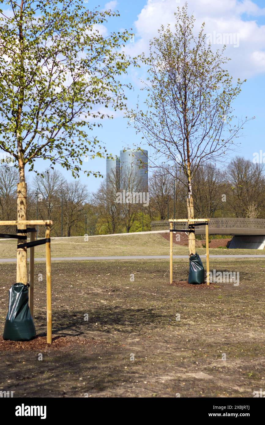 A developed park in the modern environment of the city Stock Photo - Alamy