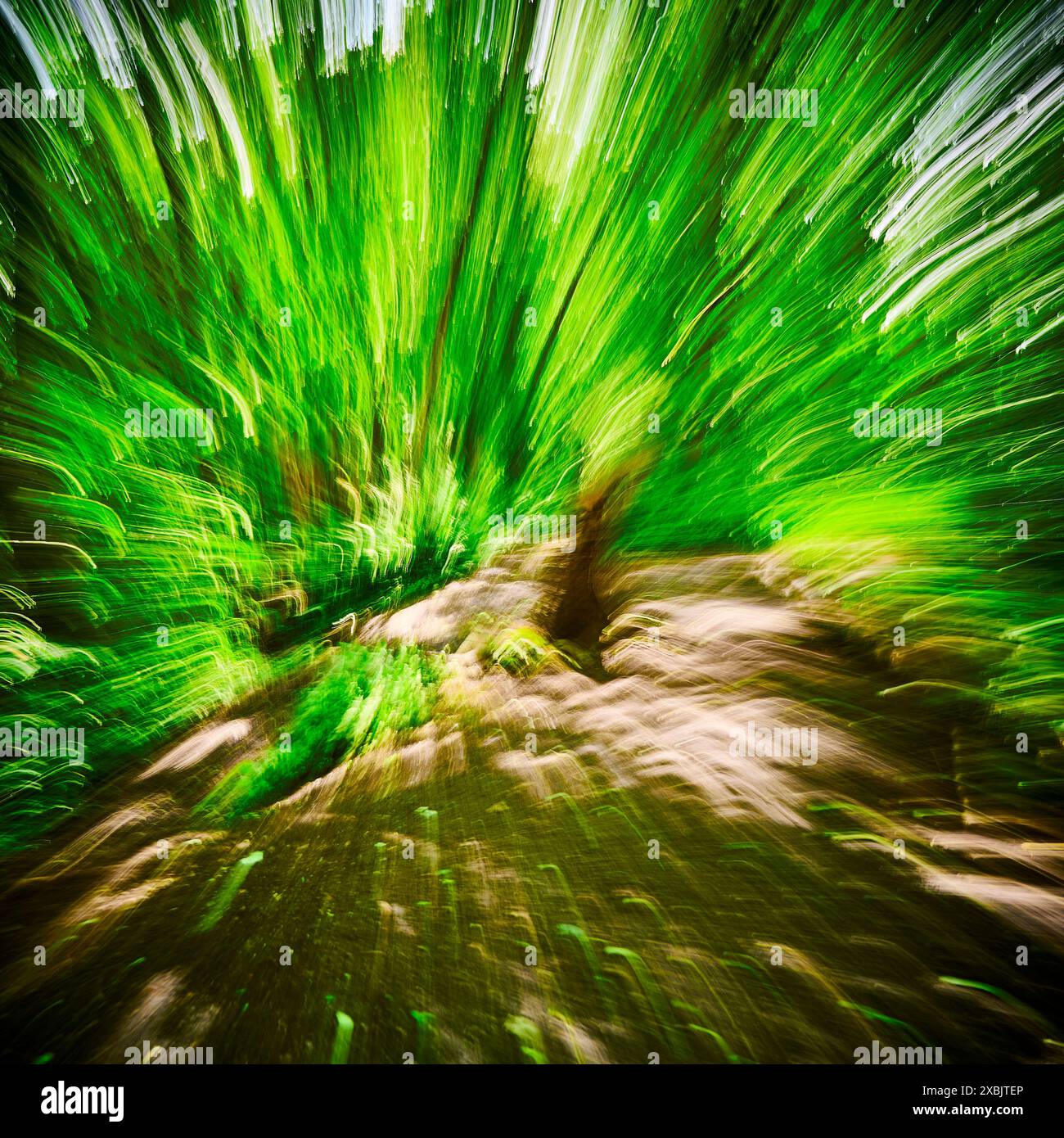 Blur area hi-res stock photography and images - Alamy