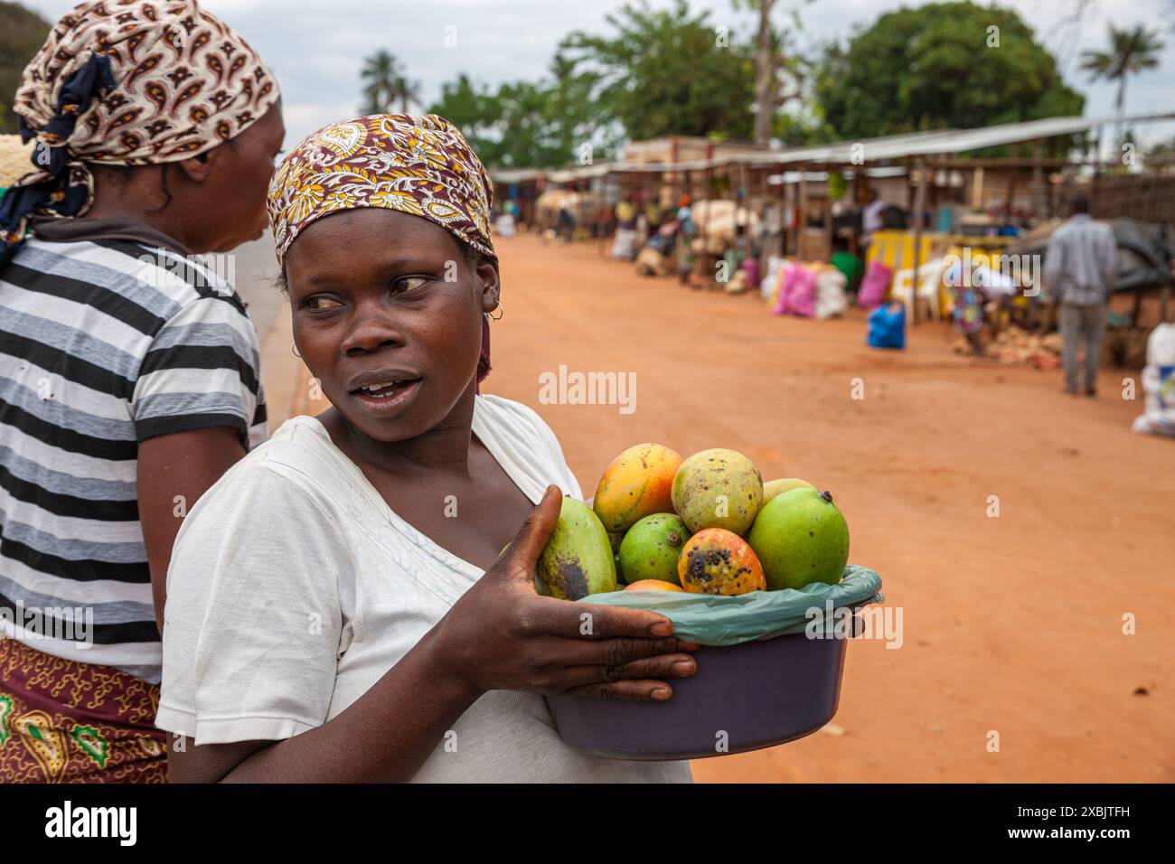 Indian mangos hi-res stock photography and images - Alamy