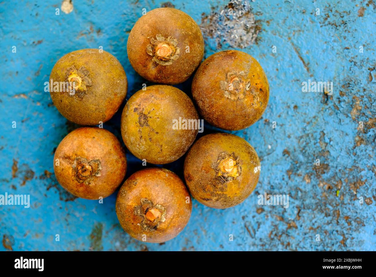 Coco de catarro hi-res stock photography and images - Alamy