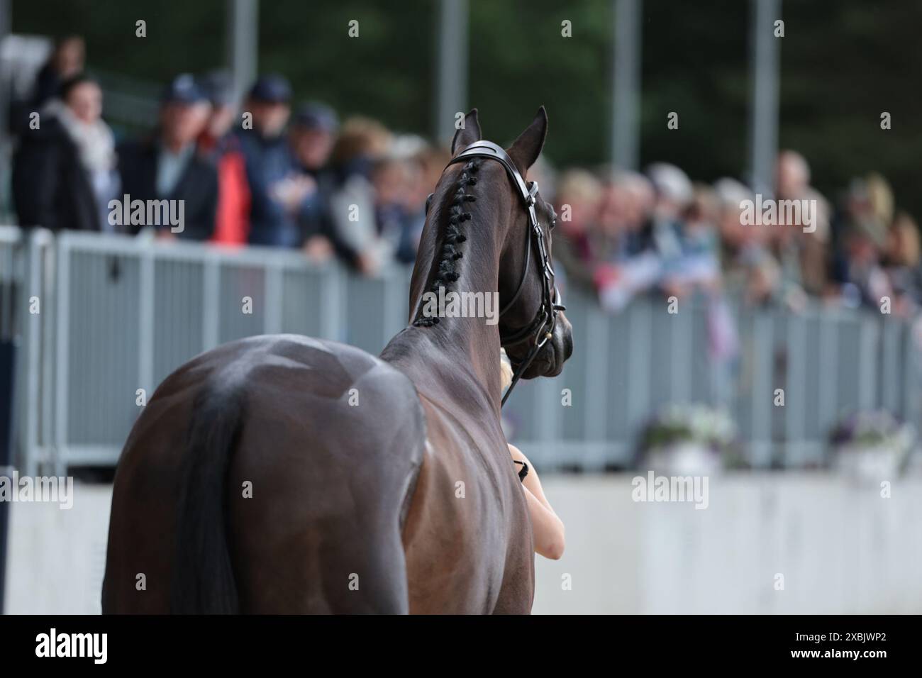 Storm Straker of Great Britain with Fever Pitch during the CCI5* first ...