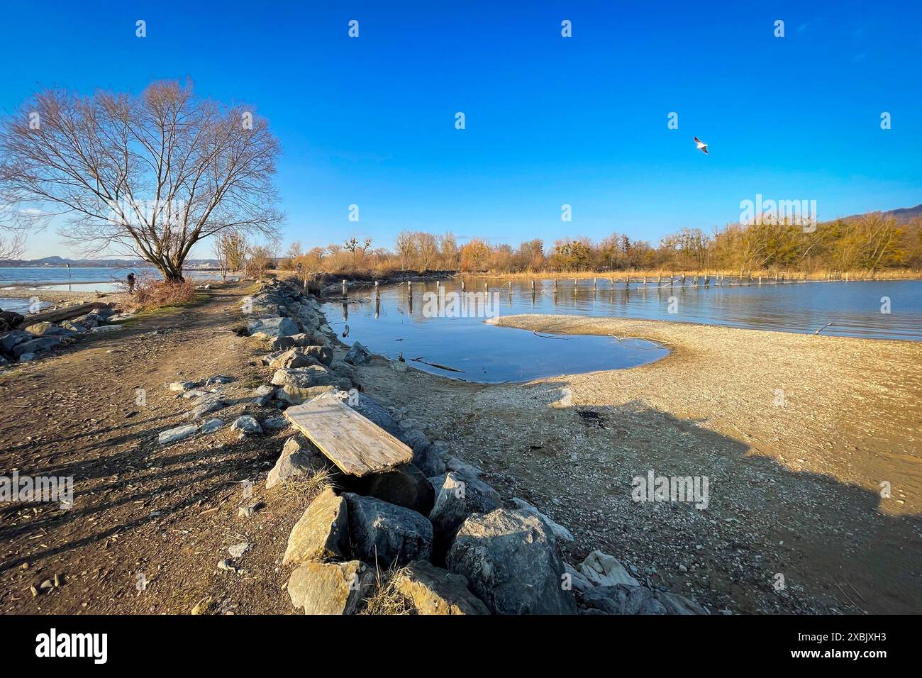 relaxing at the local recreation area at the Lake Constance Stock Photo ...