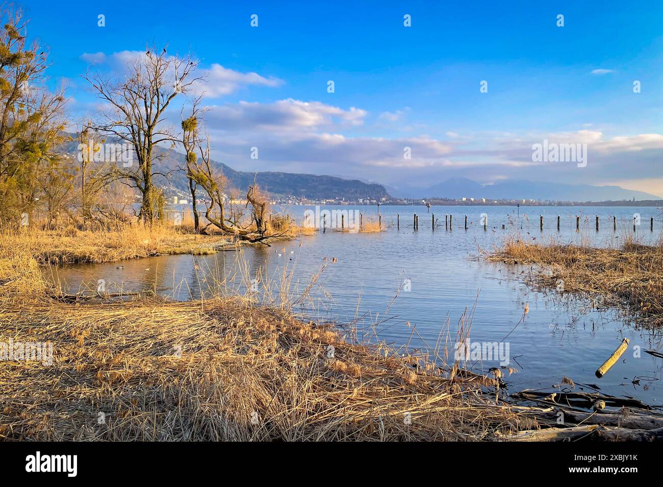 relaxing at the local recreation area at the Lake Constance Stock Photo ...