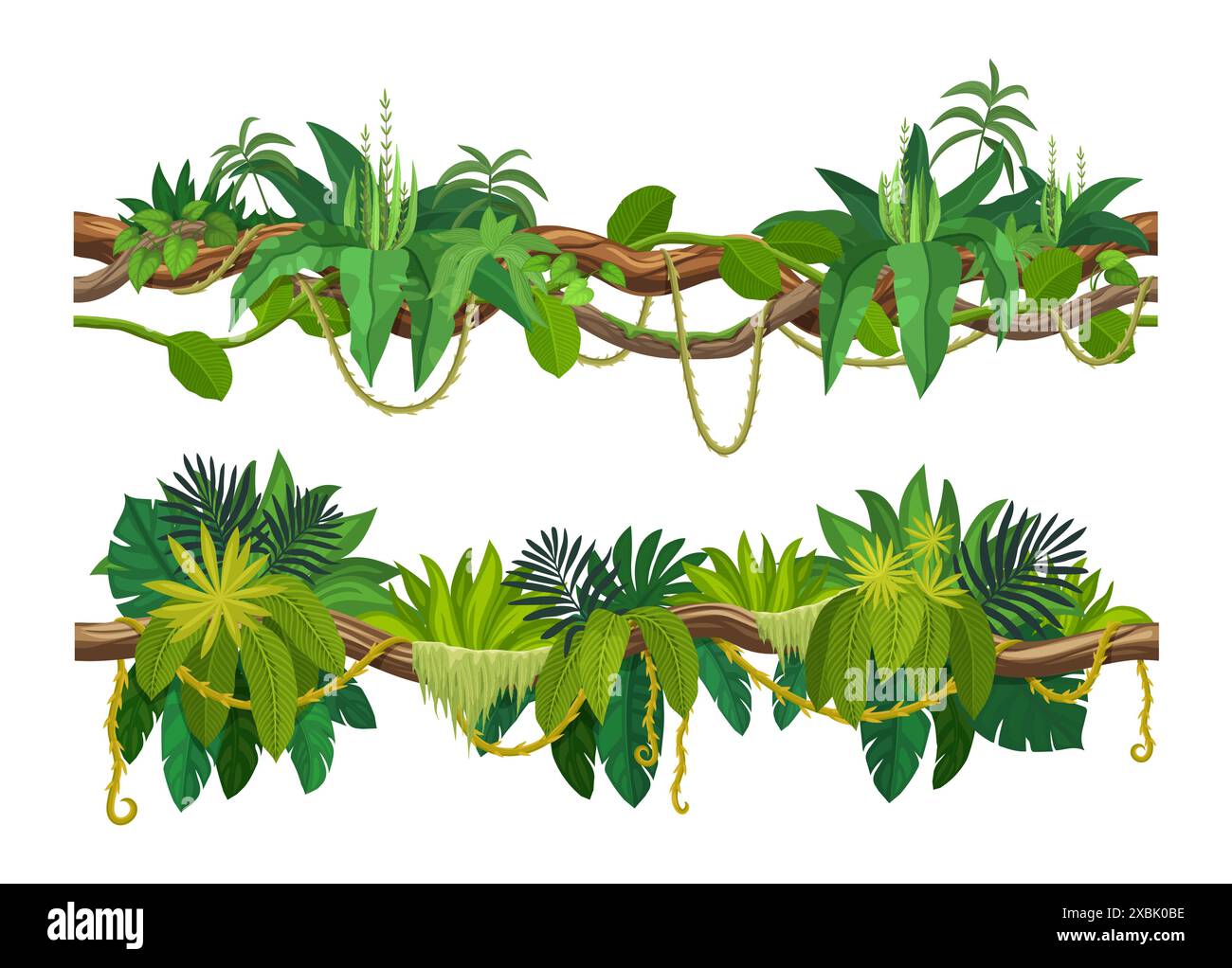 Tropical jungle forest liana vine branch. Cartoon vector leaves and ...