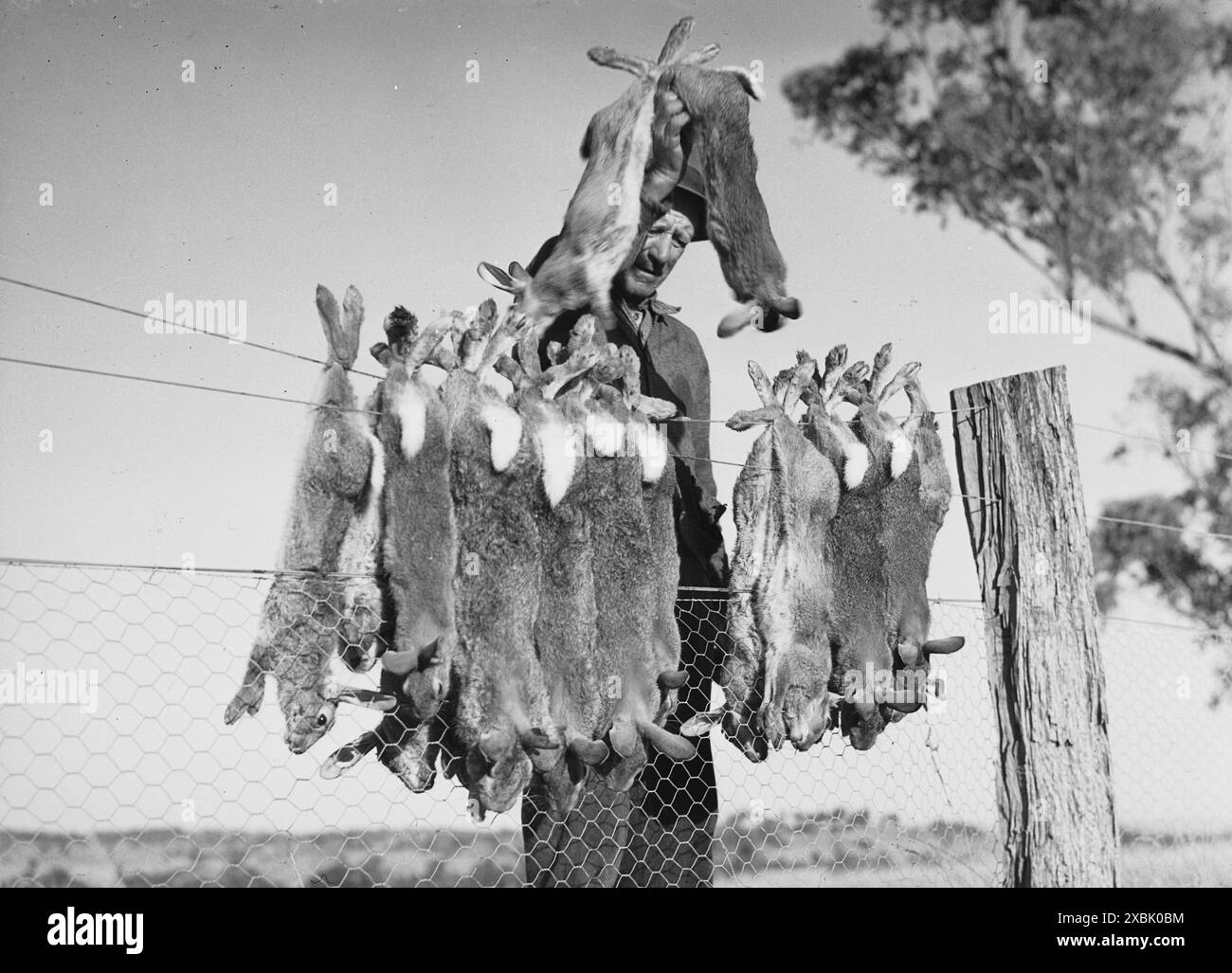 Trapping wildlife Black and White Stock Photos & Images - Alamy