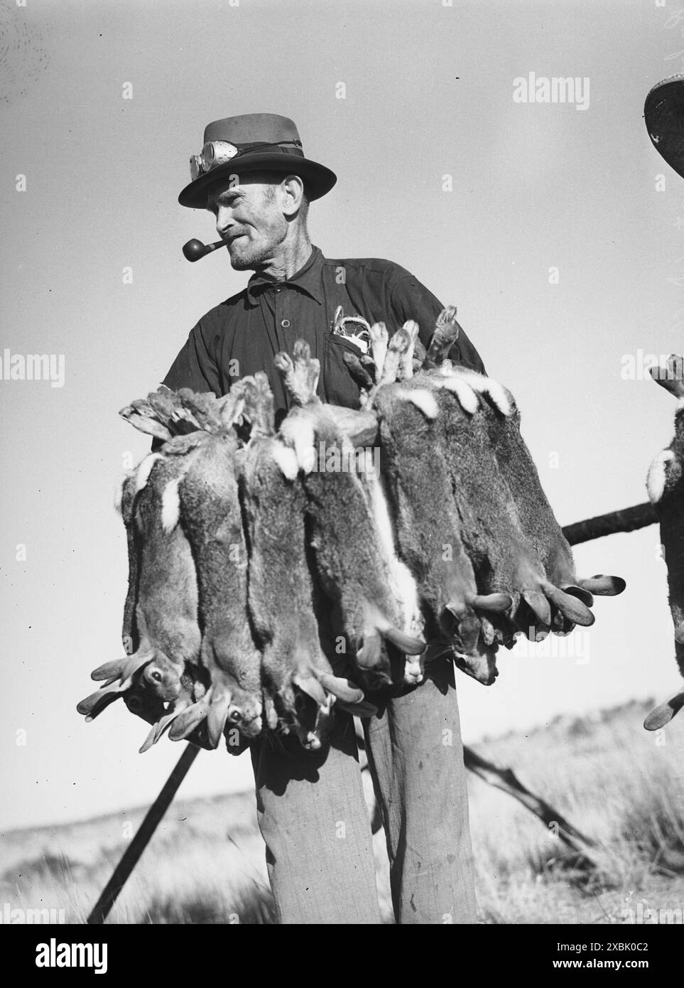 Australia, circa 1940s. Rabbit trapper with his haul Stock Photo - Alamy