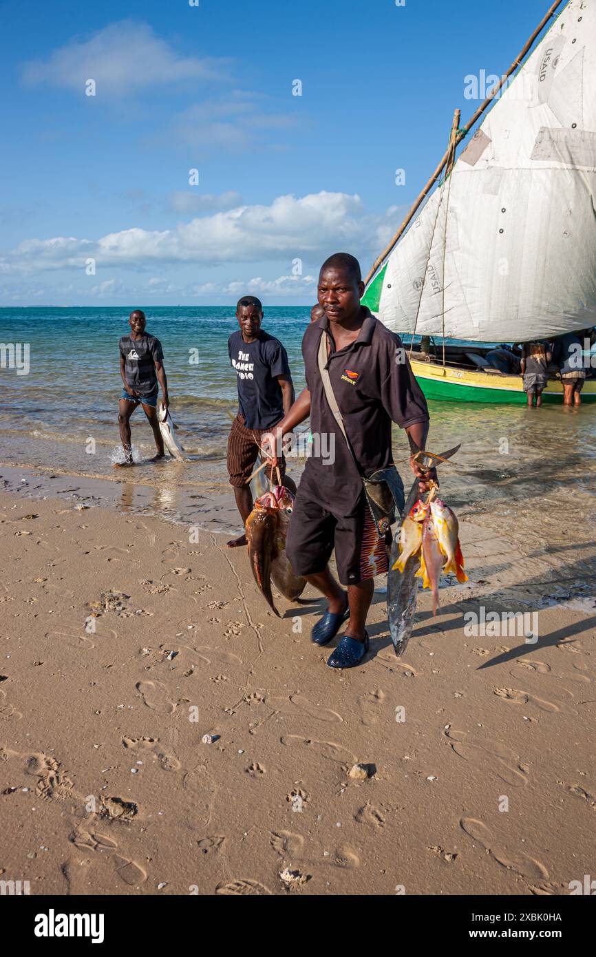 Mozambique, Inhambane, Vilankulo, Fishermen bringing their caught ...