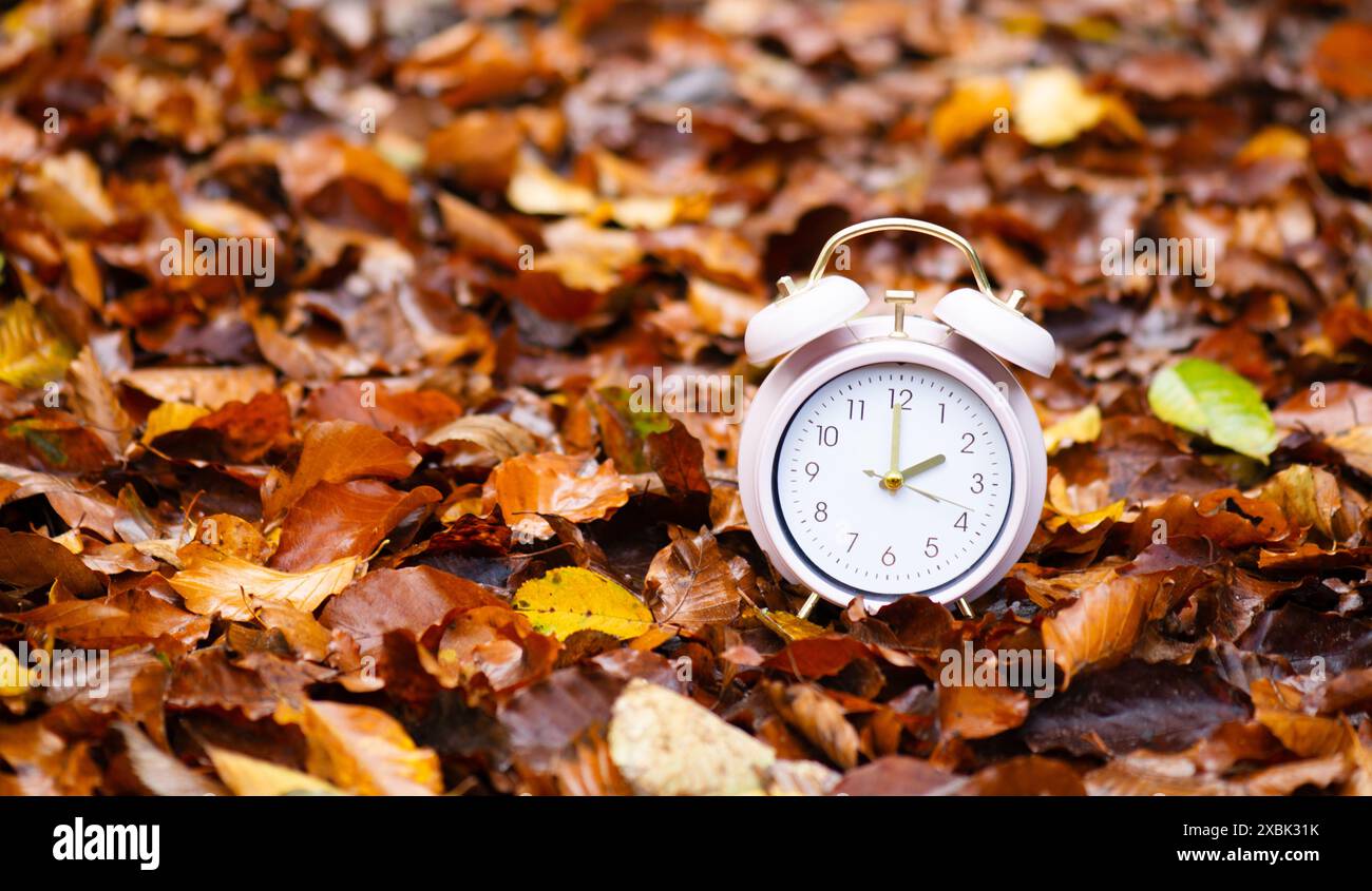 Alarm clock with autumn foliage, end of daylight saving time in fall ...