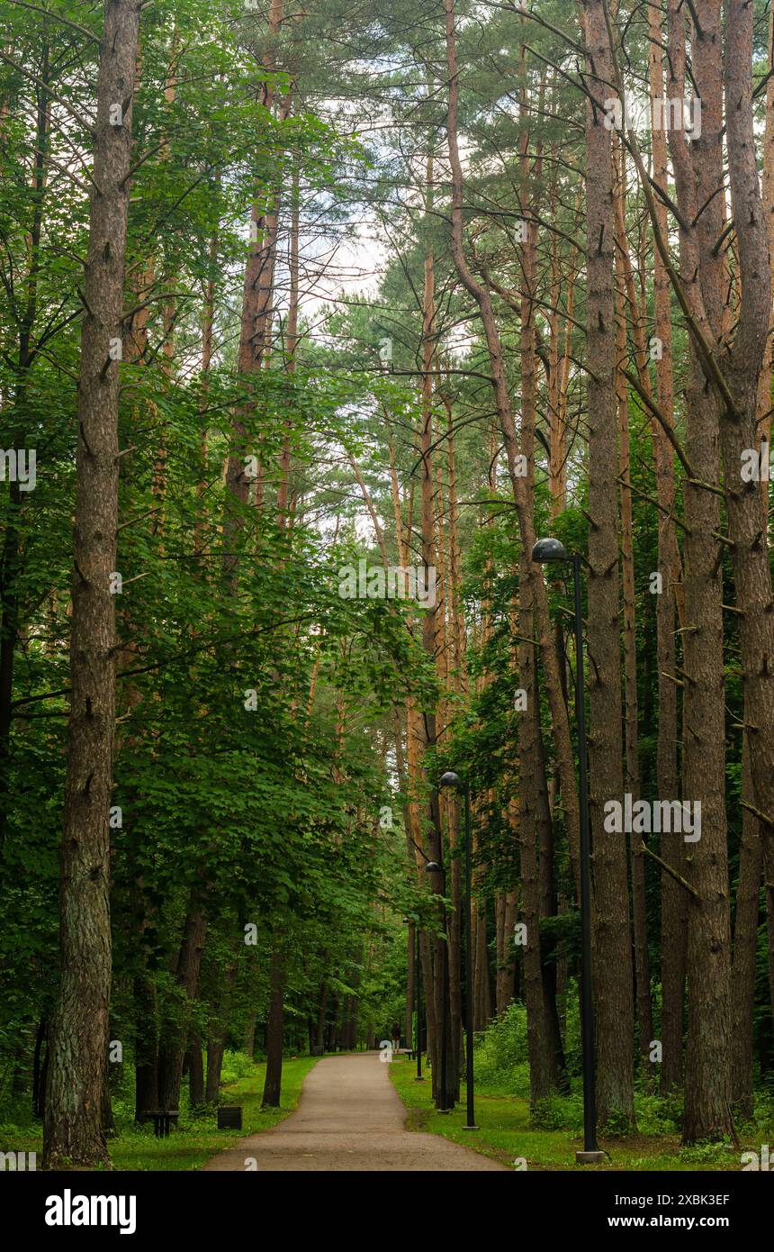 Ravenhill park hi-res stock photography and images - Alamy