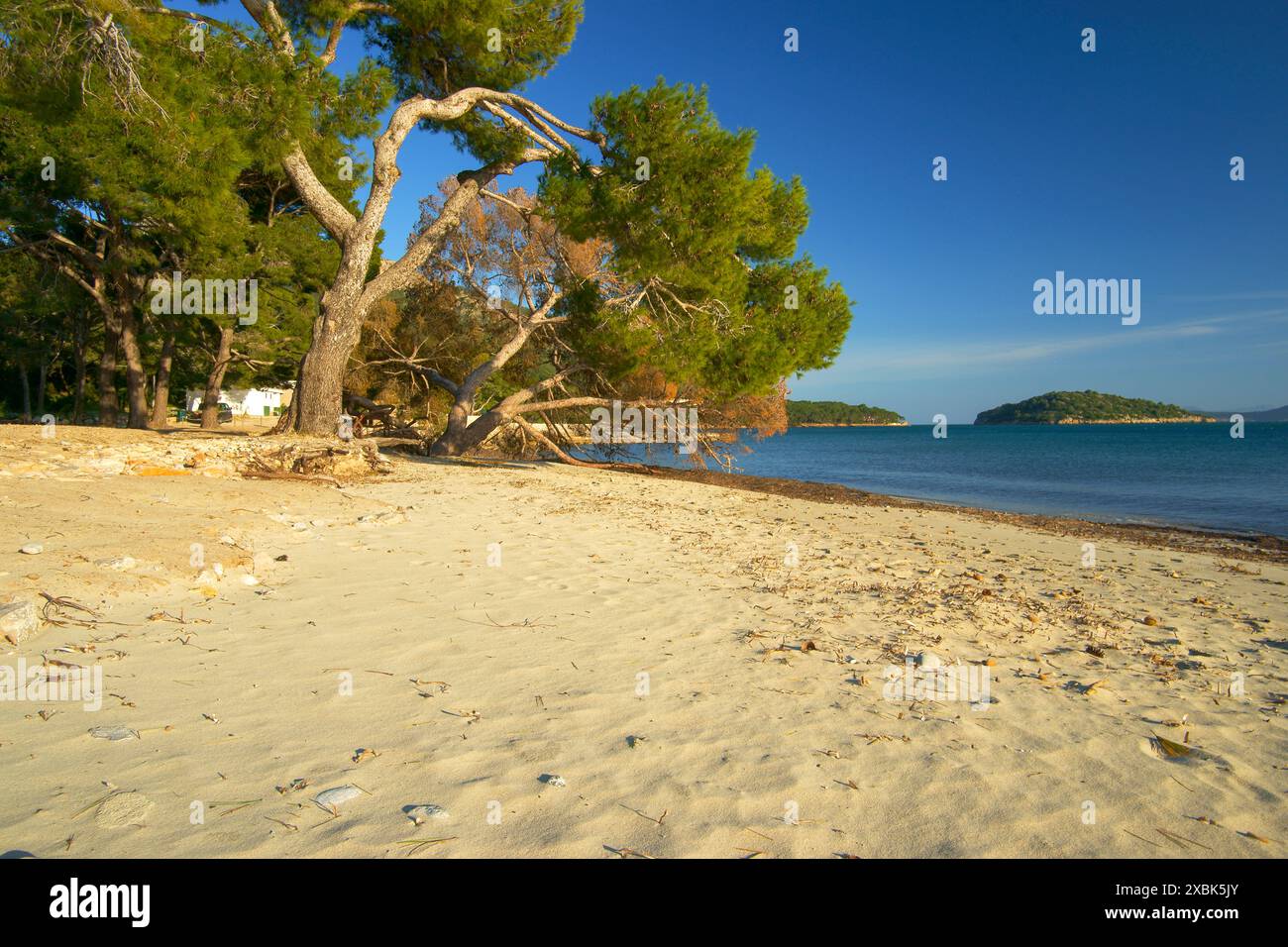 Formentor Port and Beach. Pollença. Formentor Peninsula. Mallorca ...