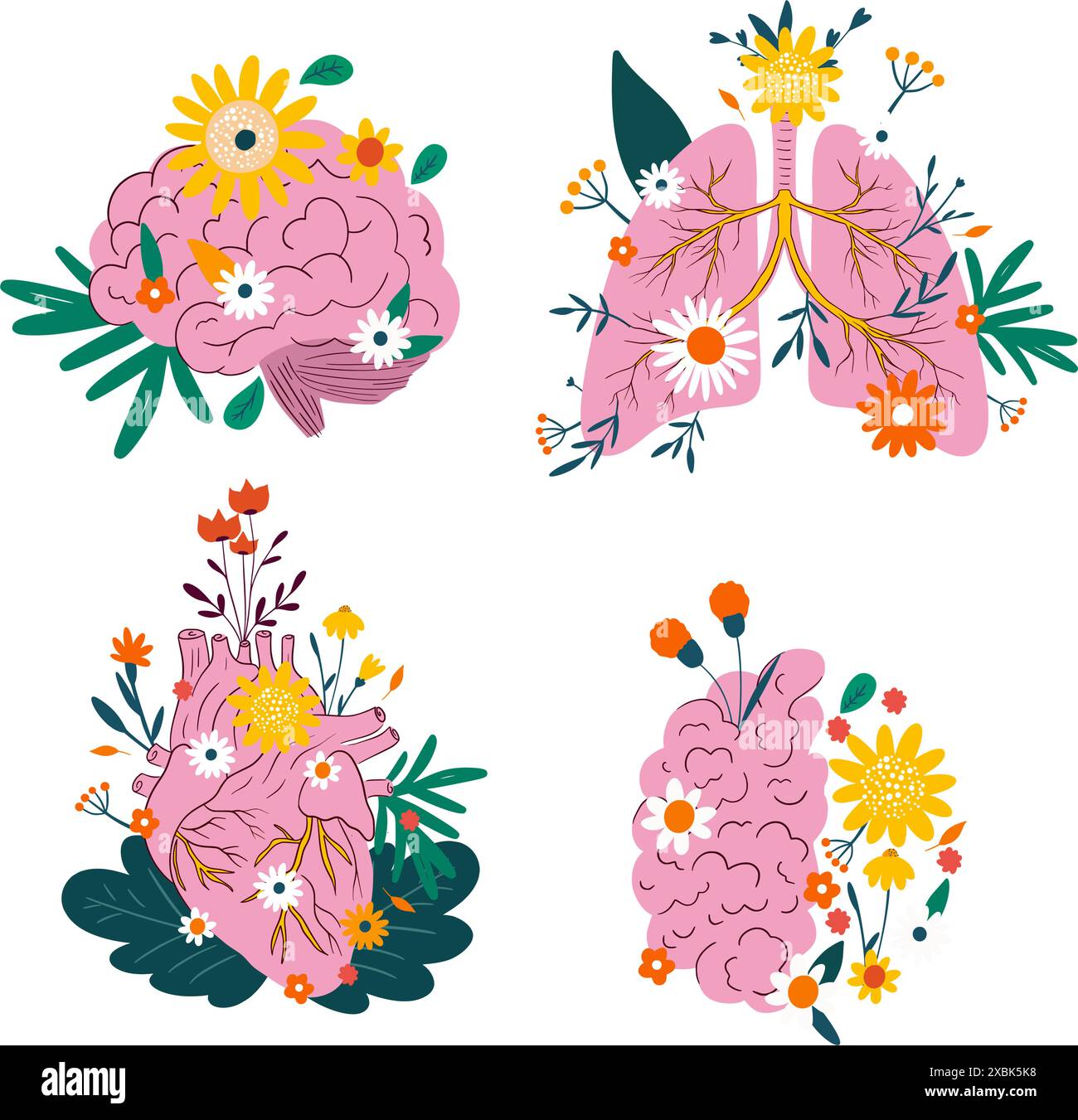 Cartoon human organs with flowers in flat style brain lungs heart ...