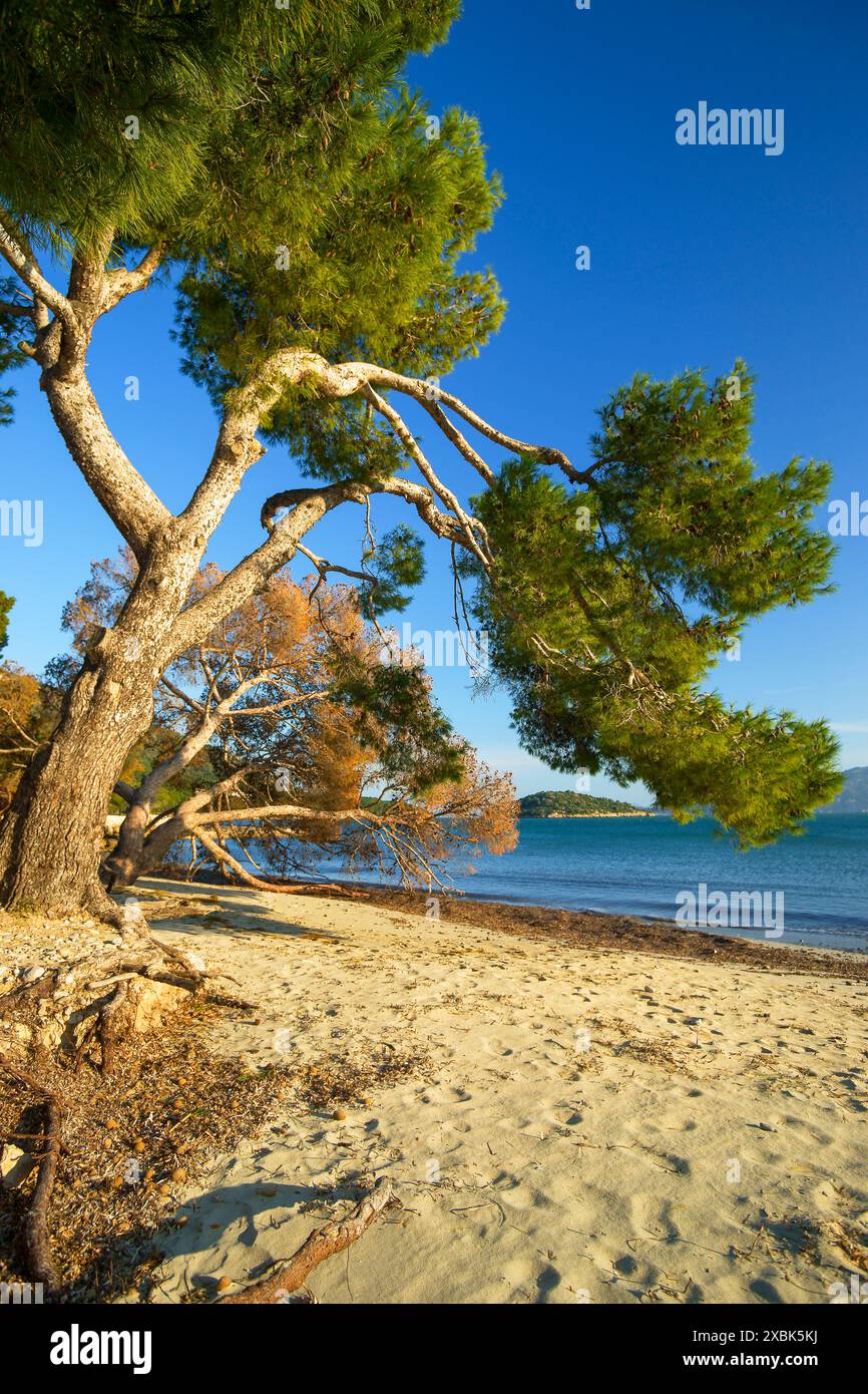 Formentor Port and Beach. Pollença. Formentor Peninsula. Mallorca ...