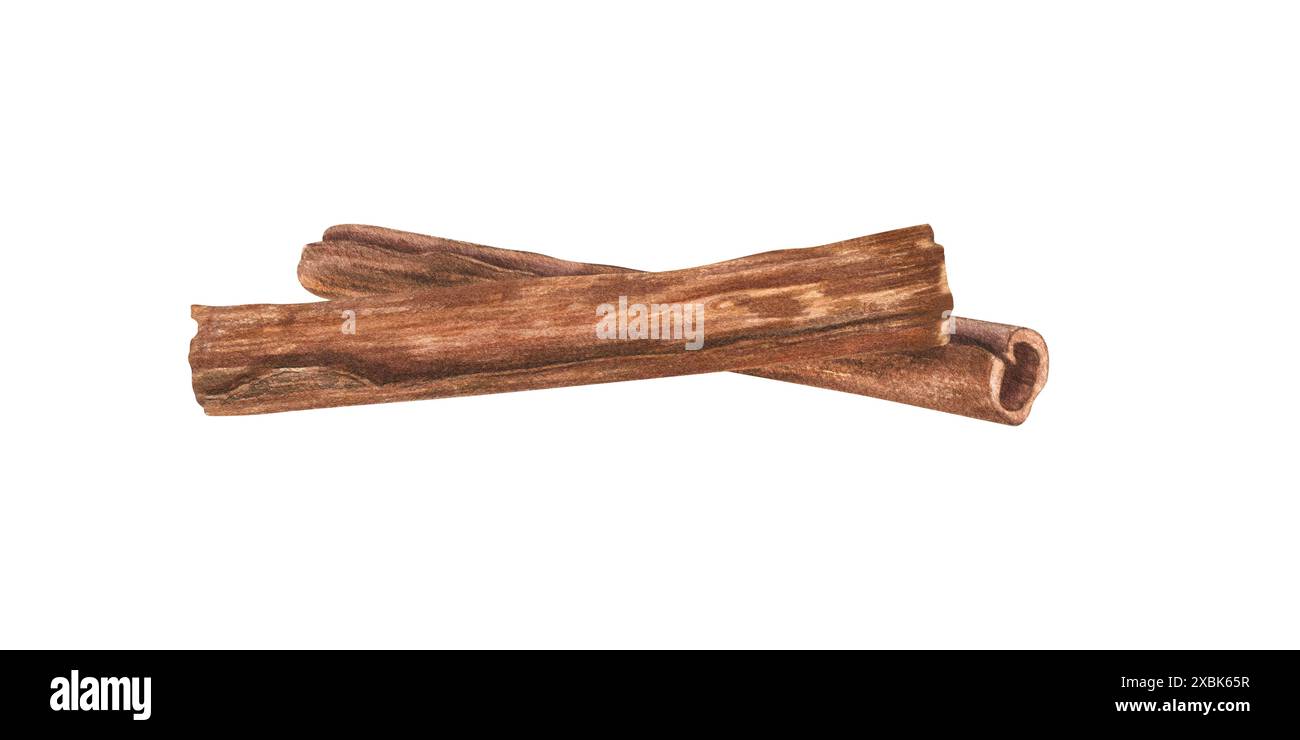 Two Cinnamon Sticks lying on top of each other. Natural raw organic ...