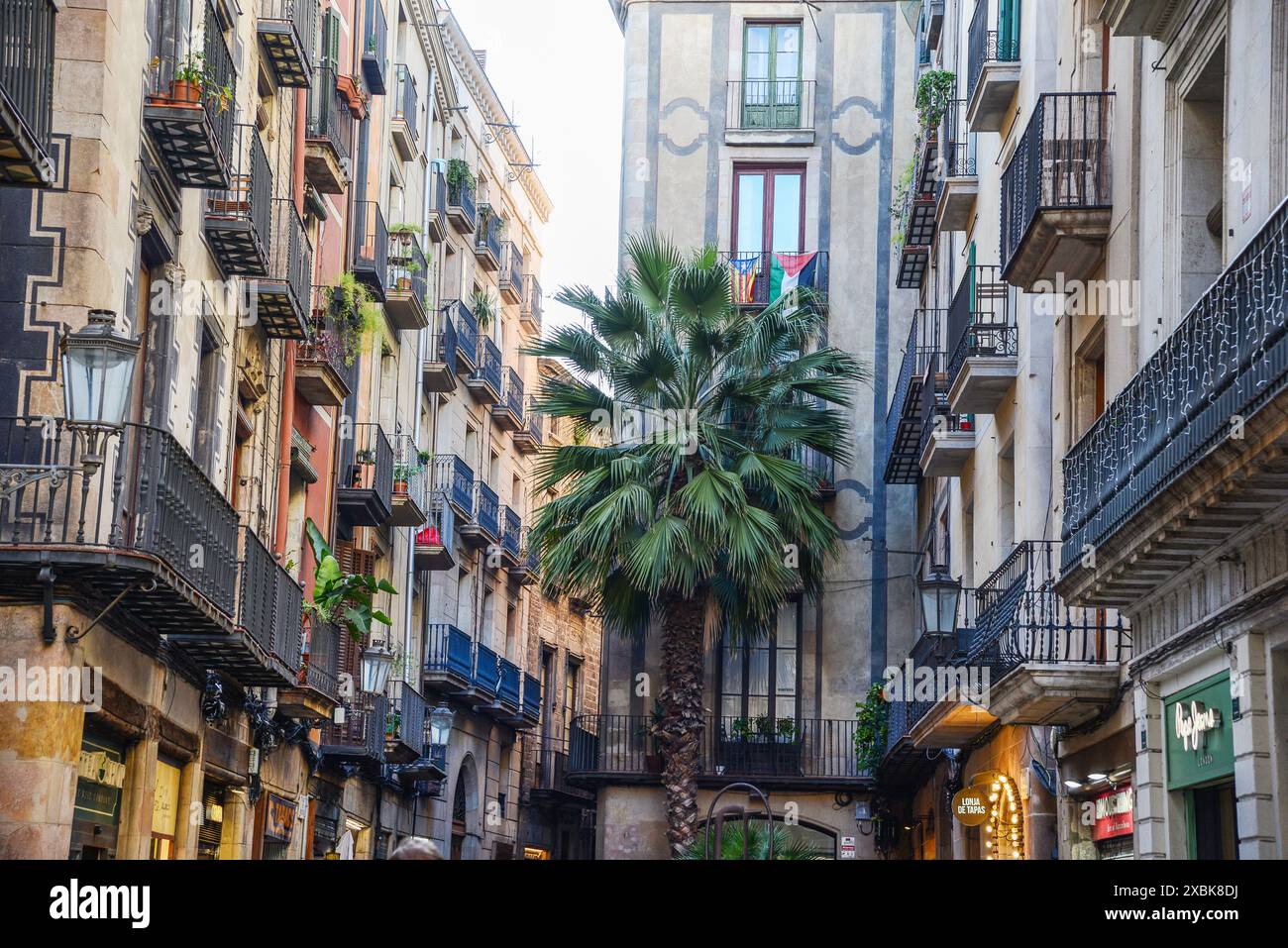 BARCELONA, CATALONIA, SPAIN - 2024, April 19th: Gothic quarter ...