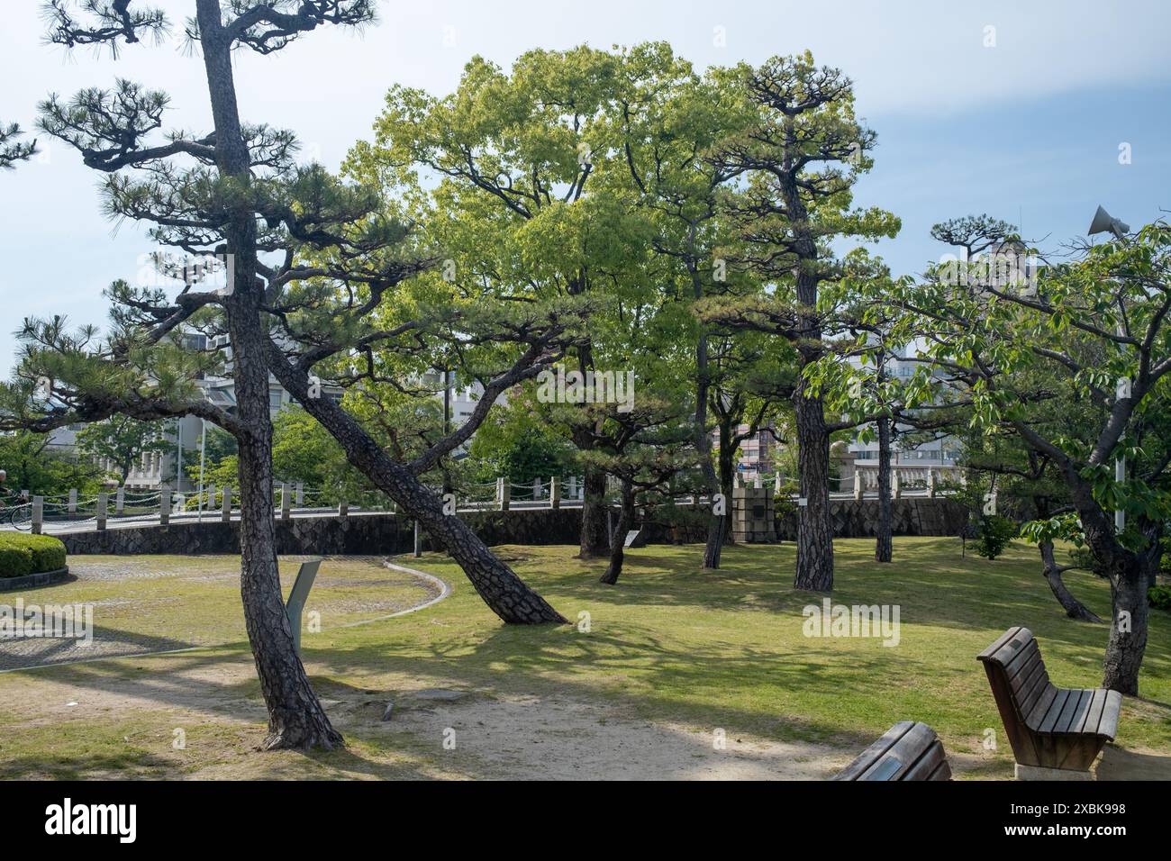 Trees in Peace Memorial Park on Hiroshima Japan Stock Photo - Alamy