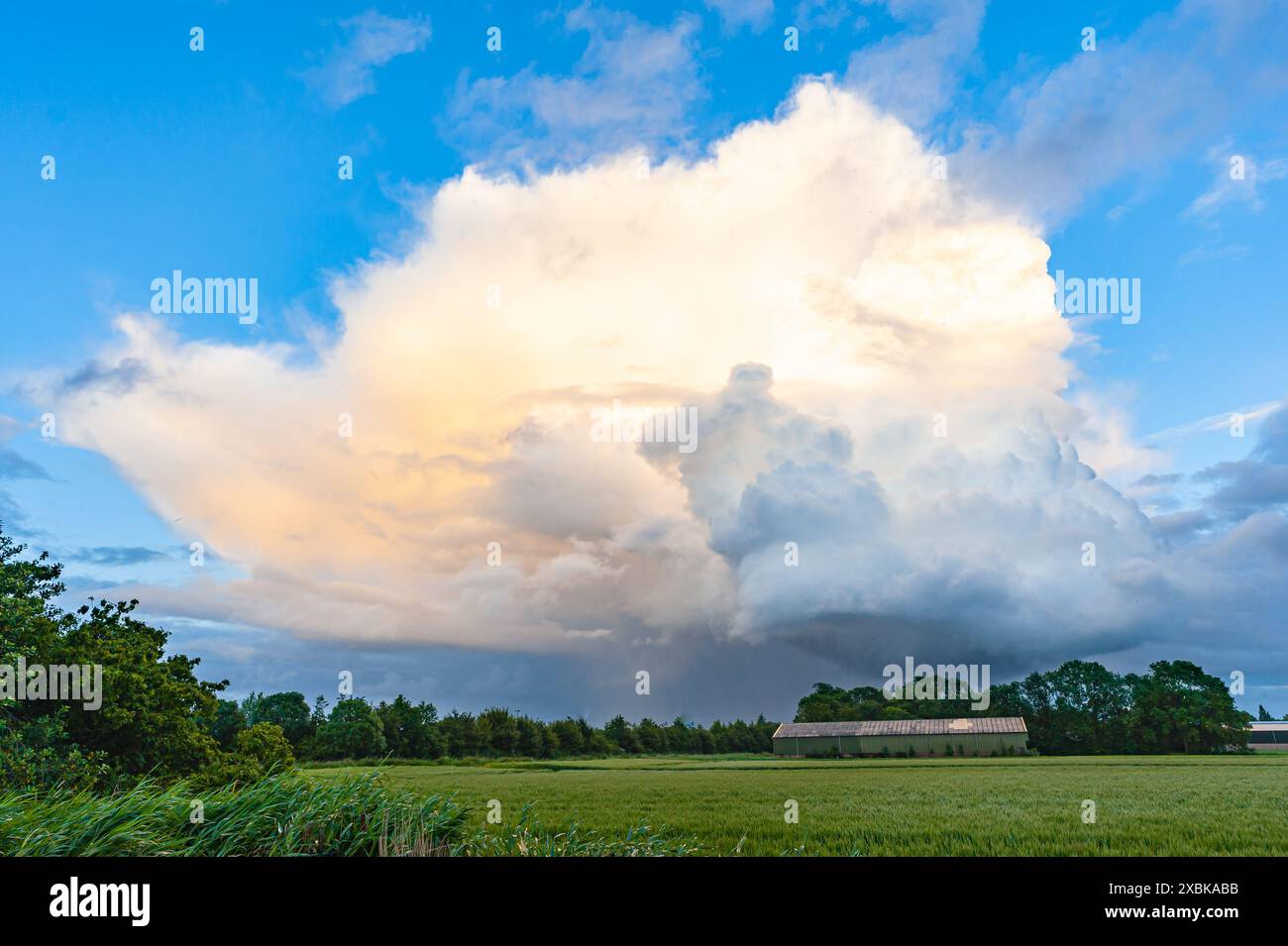 A tall Cumulonimbus thundercloud has just passed over and is ...