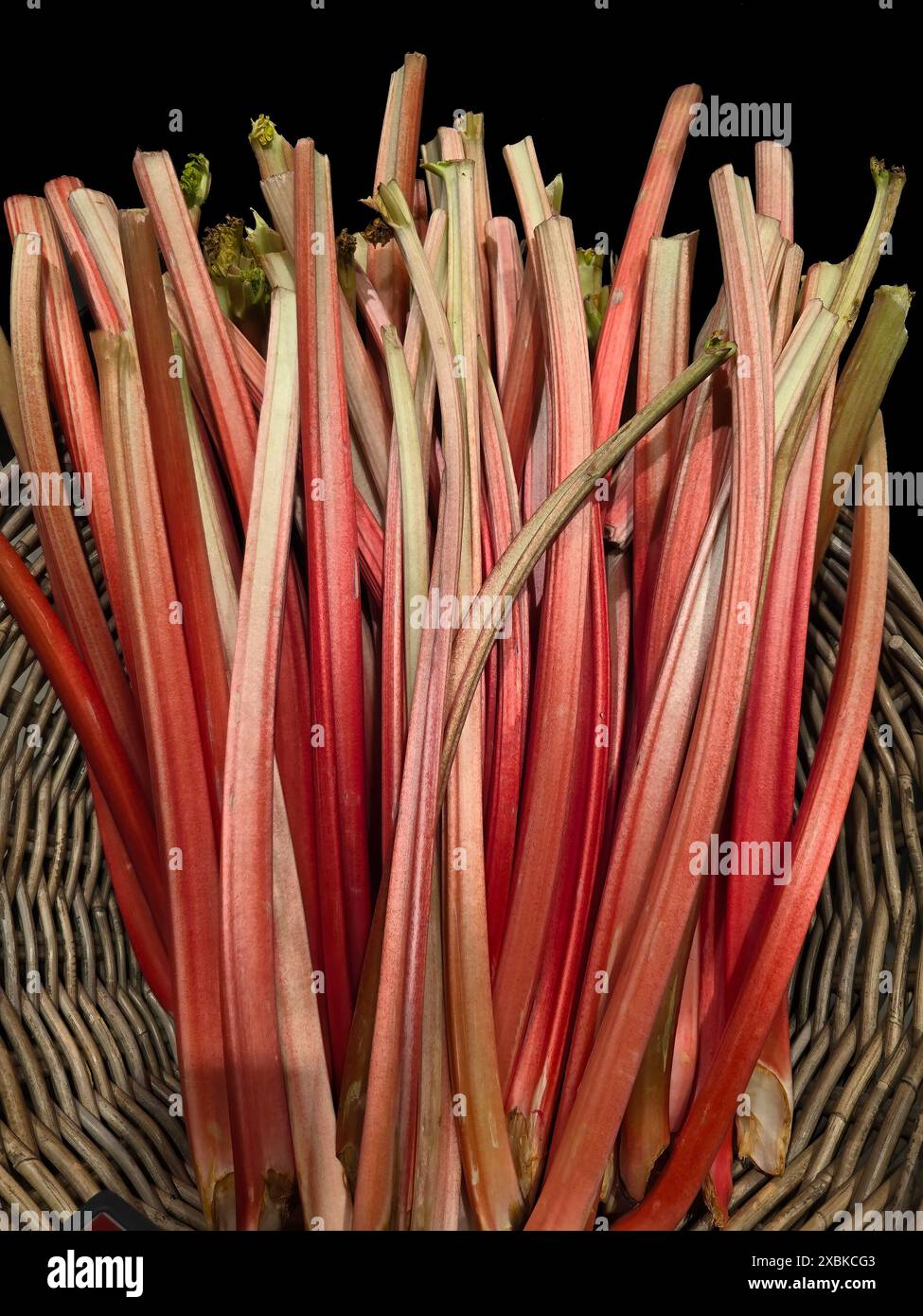 Rhubarb stick raw top view Stock Photo - Alamy