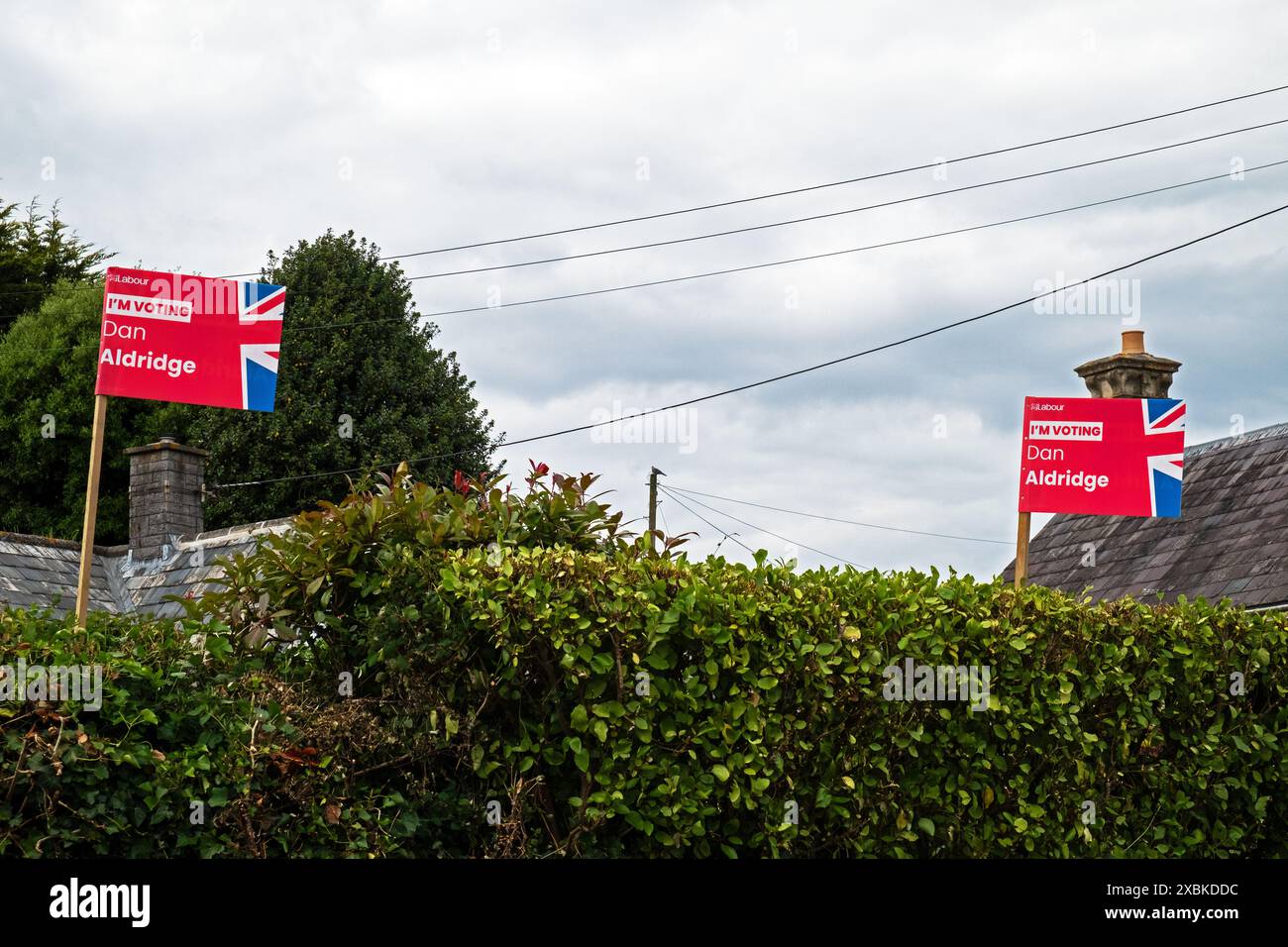 Placards urging voters to support Dan Aldridge, the Labour Party ...