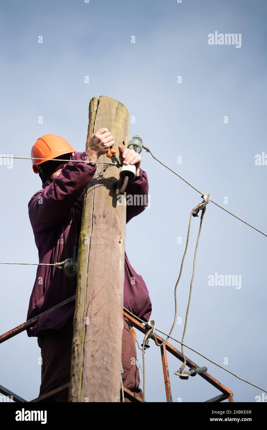 A male electrical worker repairs an electrical transmission line Stock ...