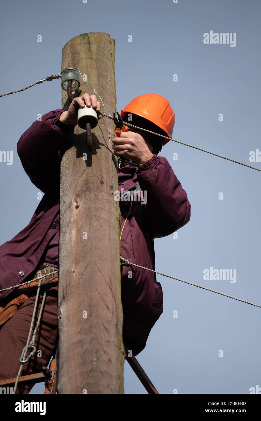 A male electrical worker repairs an electrical transmission line Stock ...