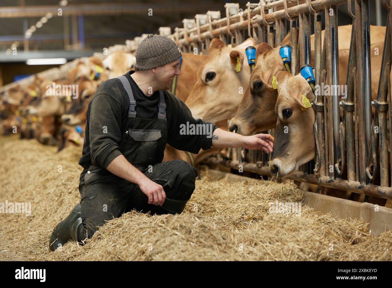 Eco village denmark hi-res stock photography and images - Alamy