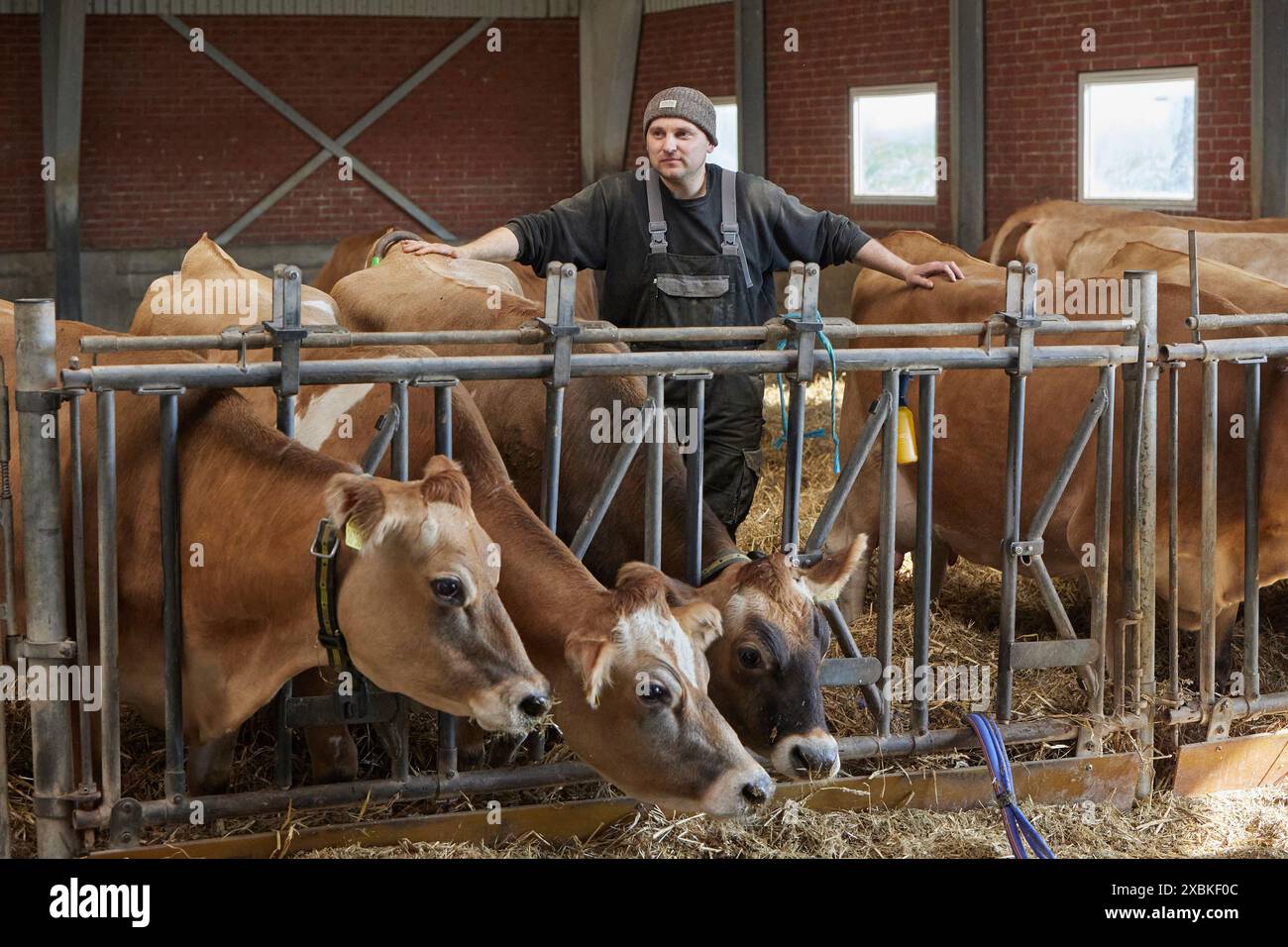 Eco village denmark hi-res stock photography and images - Alamy