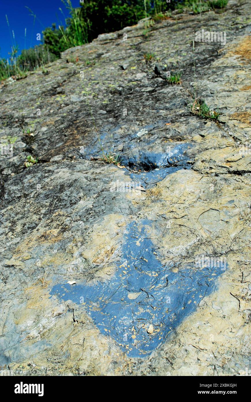 Footprint of a dinosaur. Ichnites route, north Soria, Spain Stock Photo ...