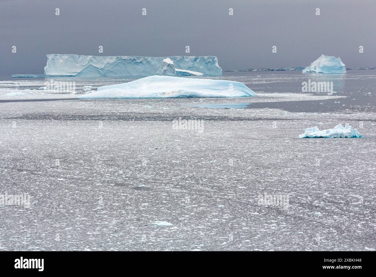 Brash ice, Neumayer Channel, Palmer Archipelago, Antarctic Peninsula ...