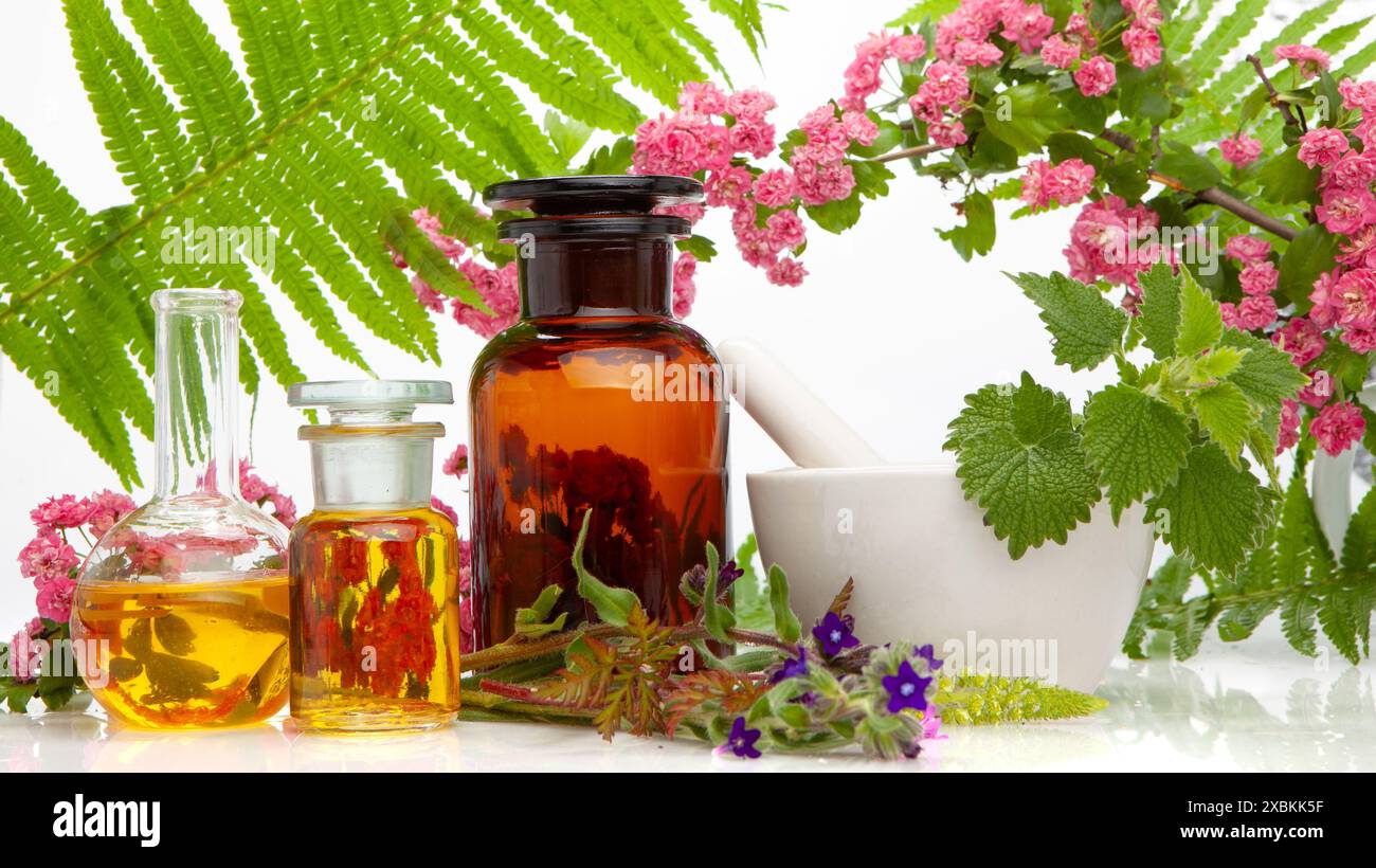 Herbal Ingredients with Essential Oils Stock Photo - Alamy