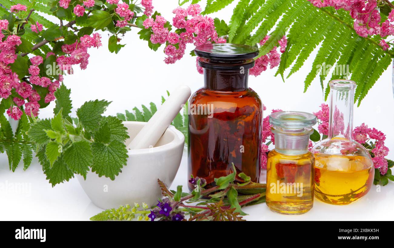 Natural Healing Ingredients and Oils Stock Photo - Alamy