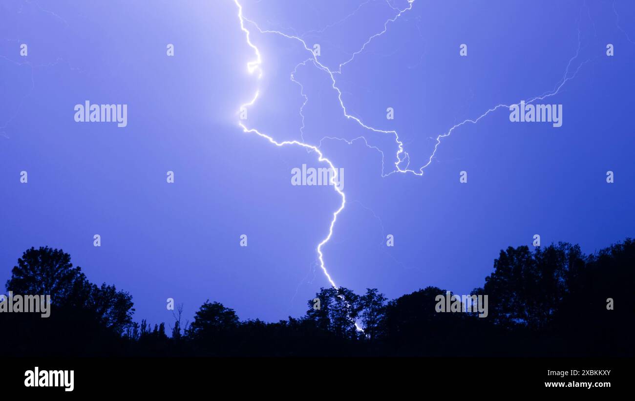 Lightning tree trees hi-res stock photography and images - Alamy